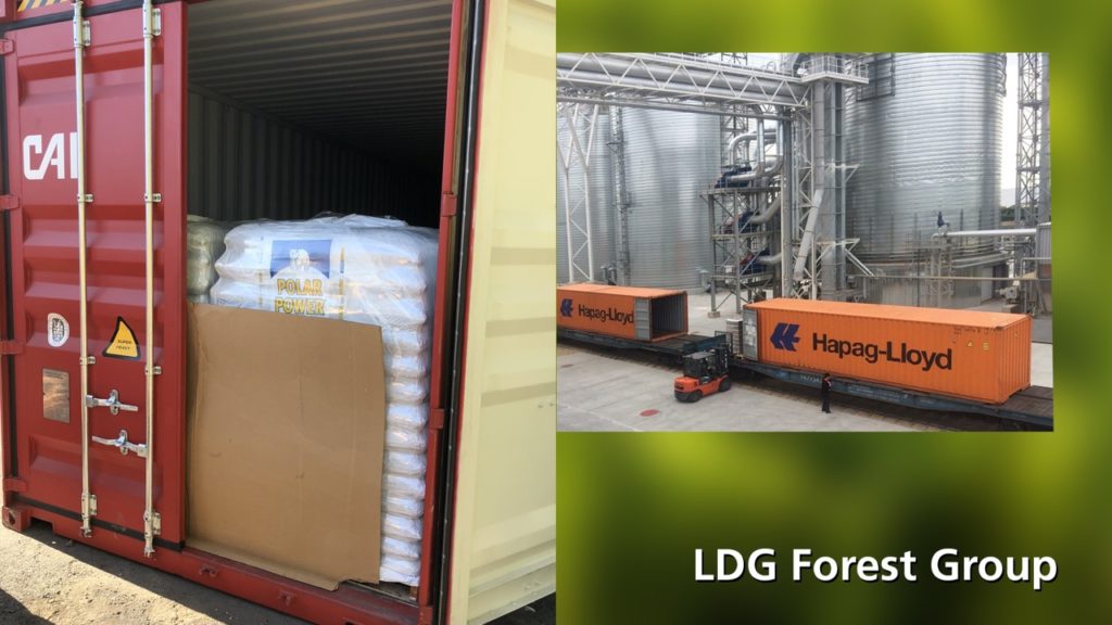 Our Logistics - LDG Forest Group