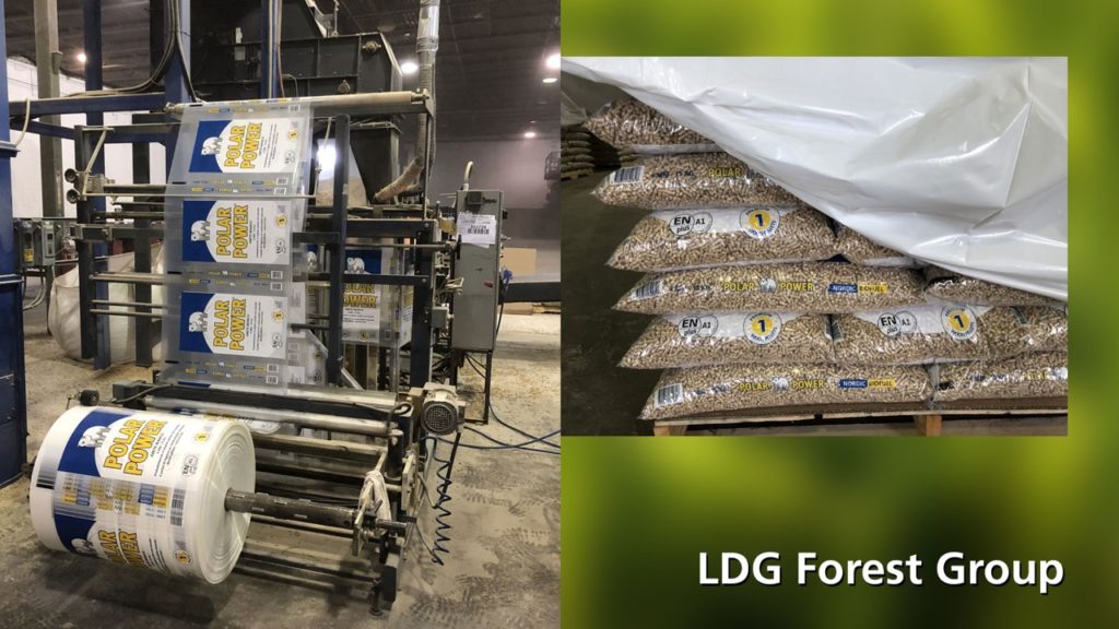 Our Logistics - LDG Forest Group